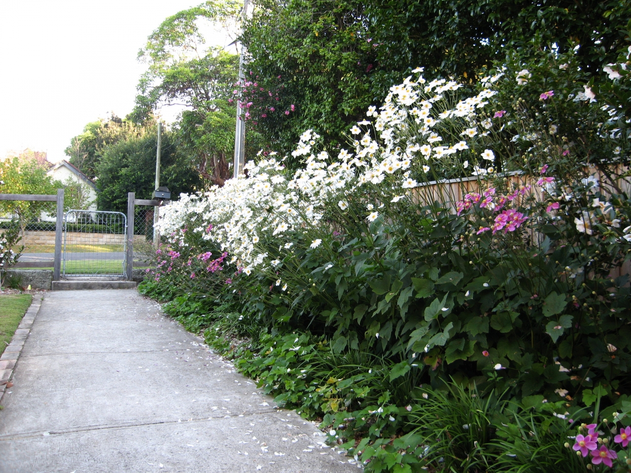 Gallery | Pettet Landscapes